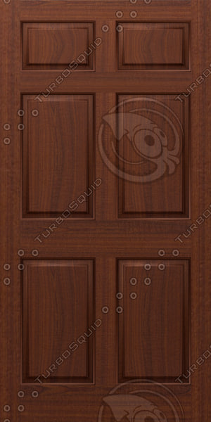 Texture JPEG raised panel door