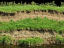 Texture JPEG riverbank bank texture