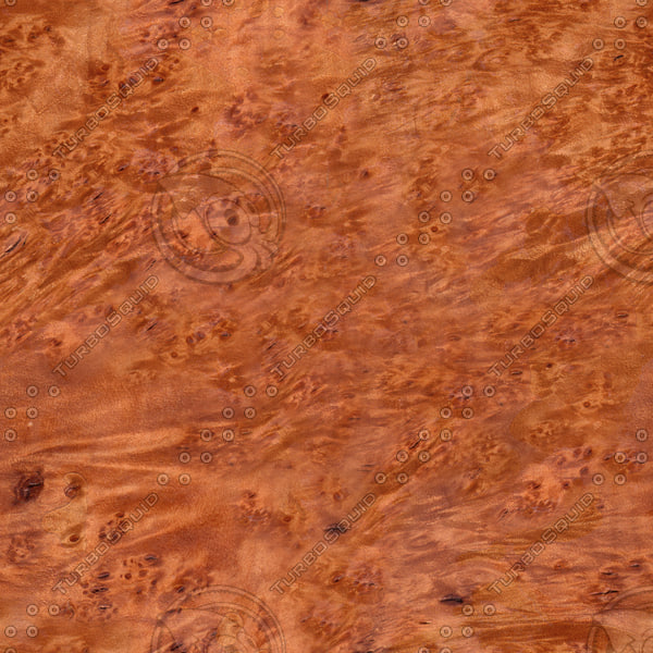Texture JPEG burled wood burl