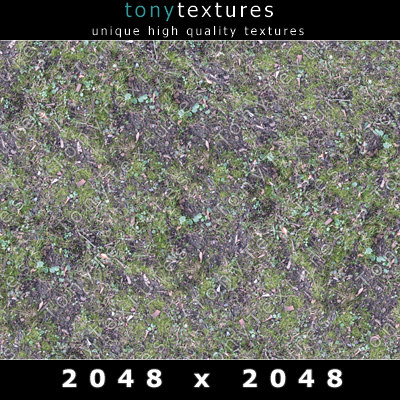 Texture JPEG ground nature organic