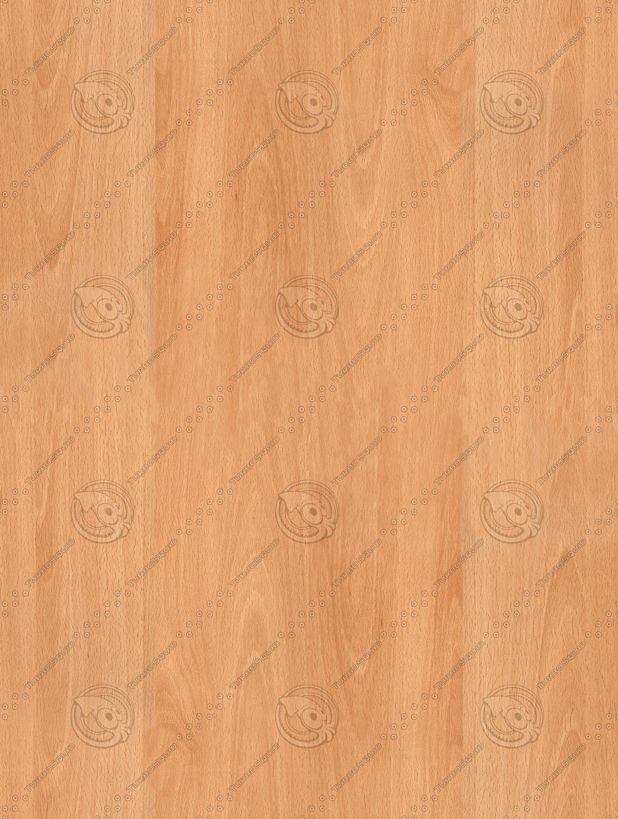 Texture JPEG wood beach flooring