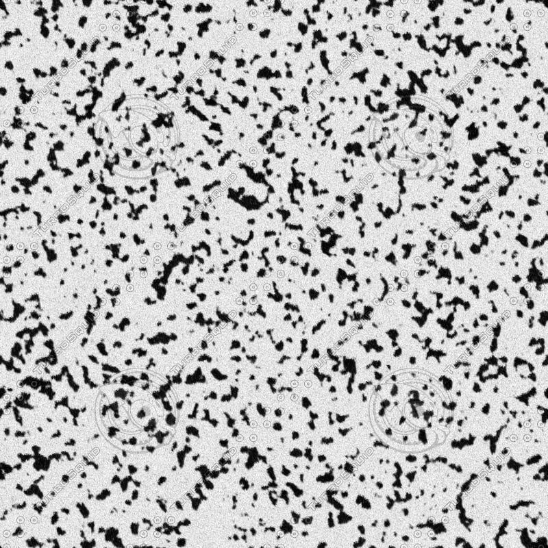 Texture JPEG Dalmatian fur texture
