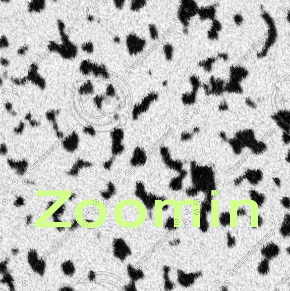 Texture JPEG Dalmatian fur texture