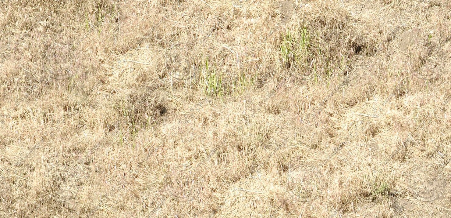 Texture Windows Bitmap foliage flora bush