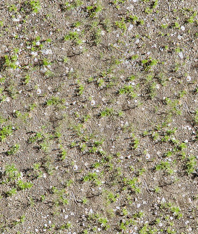 Texture Windows Bitmap foliage flora bush