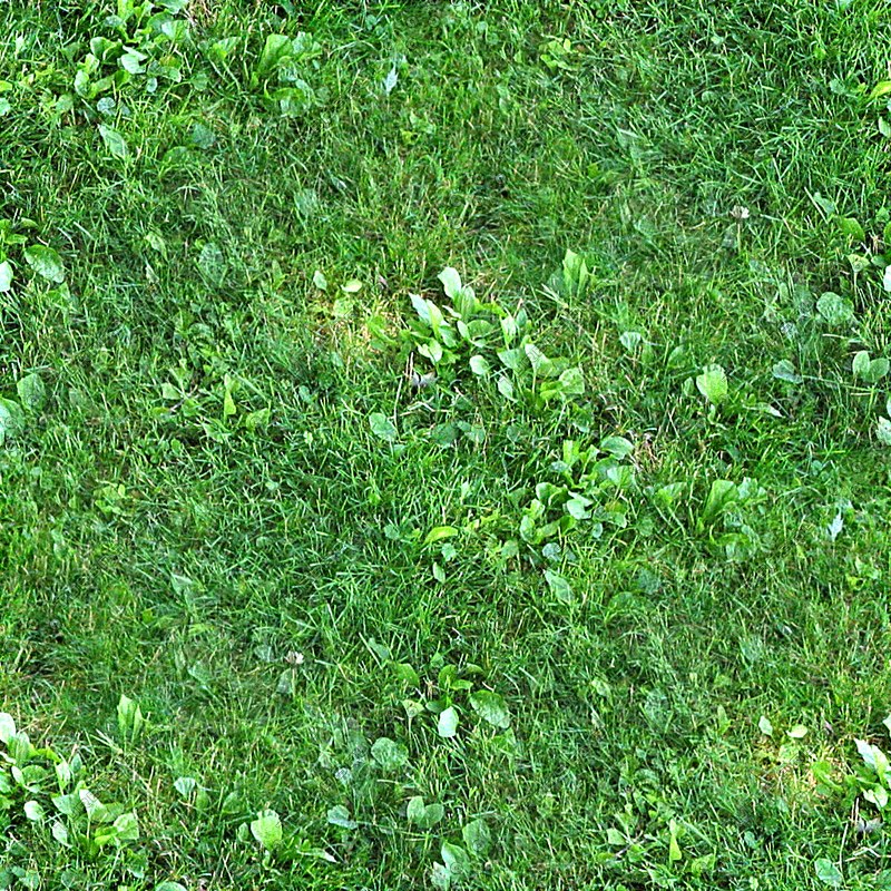 Texture Windows Bitmap Grass