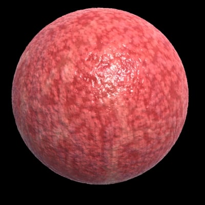 Materials 3ds Max Texture stomach tissue flesh