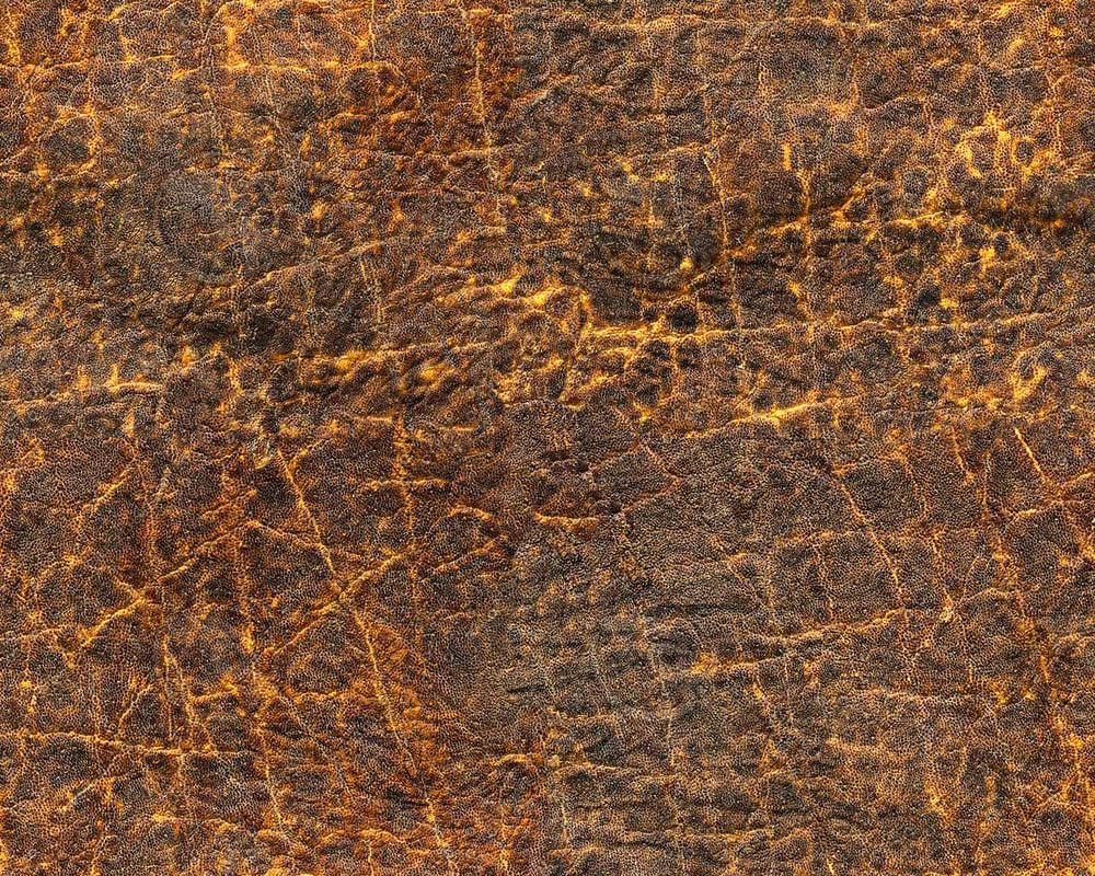 Texture JPEG Leather animal pattern