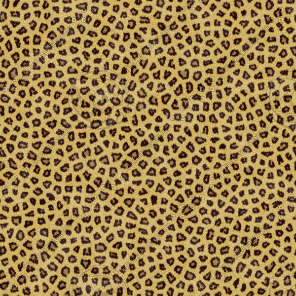 Texture Windows Bitmap leopard fur soft