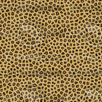 Texture Windows Bitmap leopard fur soft