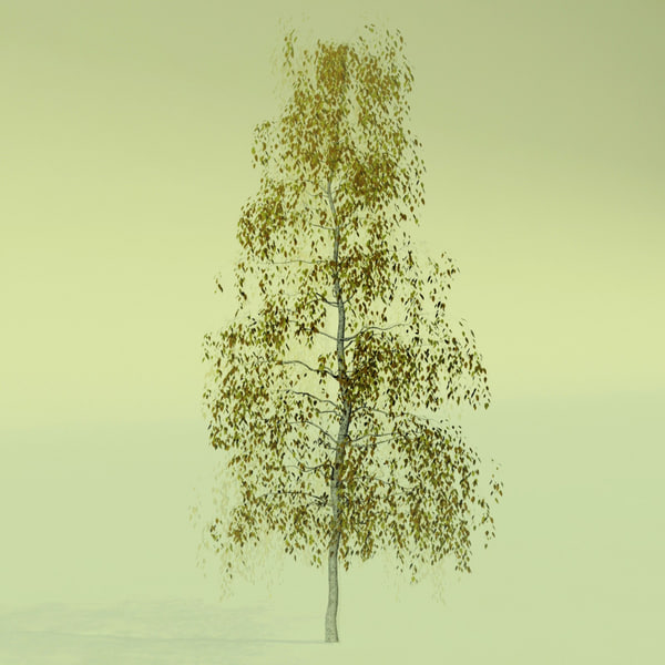autumn trees 3d model