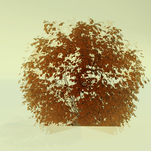 autumn trees 3d model