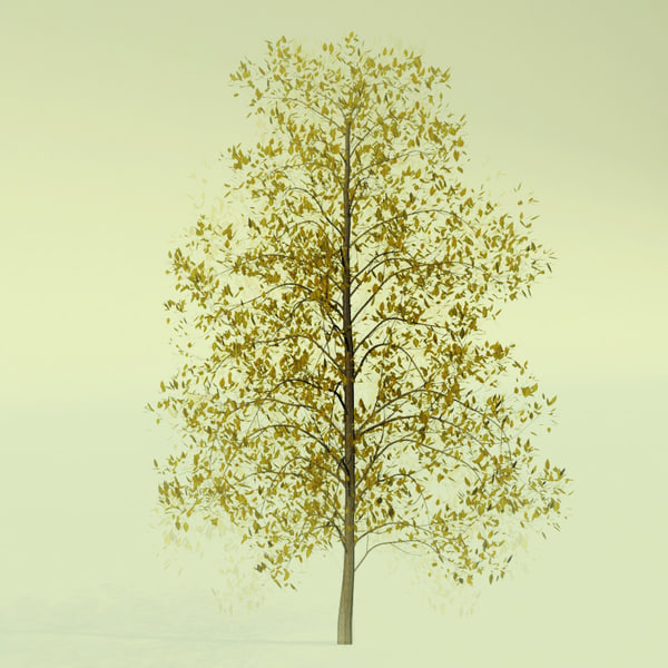 autumn trees 3d model