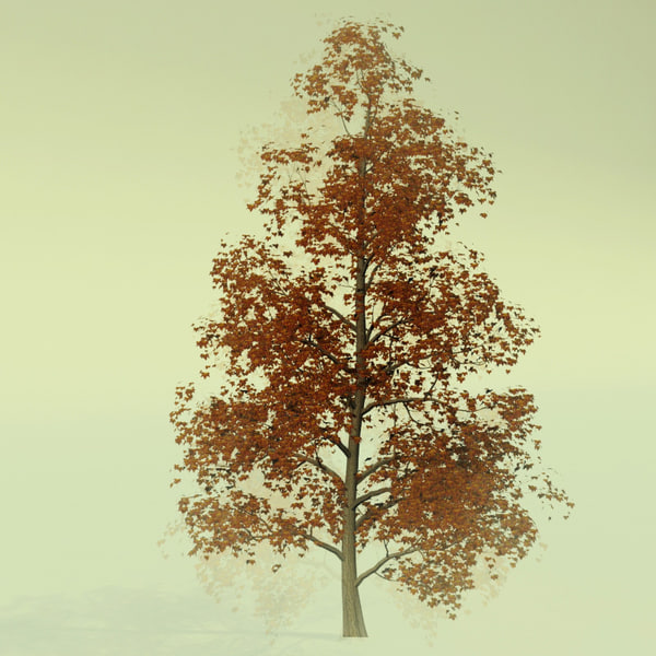 autumn trees 3d model
