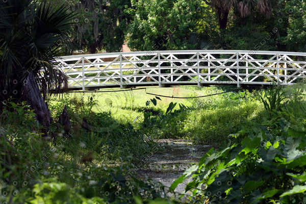 Stock JPEG Park Bridge