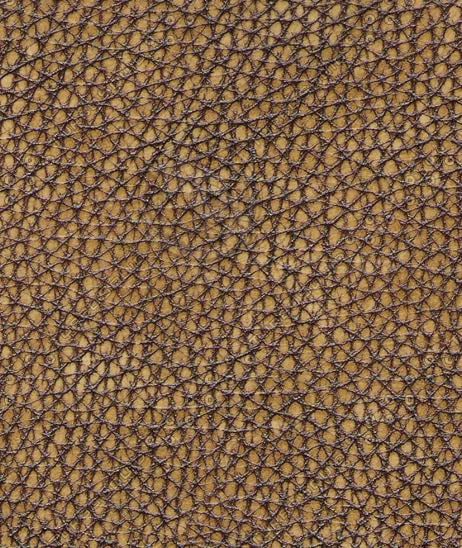 Texture JPEG leather animal light