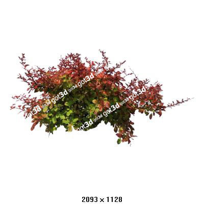 Texture Photoshop Shrub Shrubs Bush