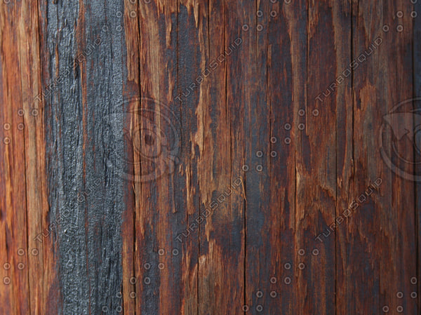 Texture JPEG Wood Wooden Tree