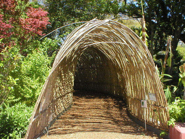 Stock JPEG Bamboo Walkway