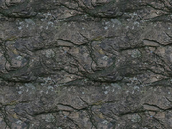 Texture JPEG boulder texture seamless