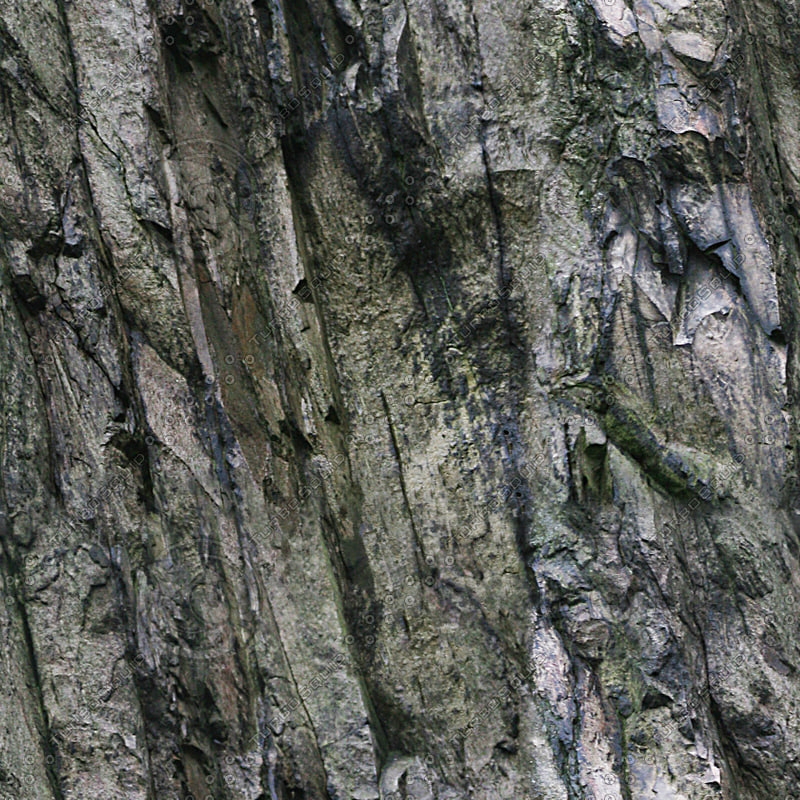 Texture JPEG cliff texture seamless