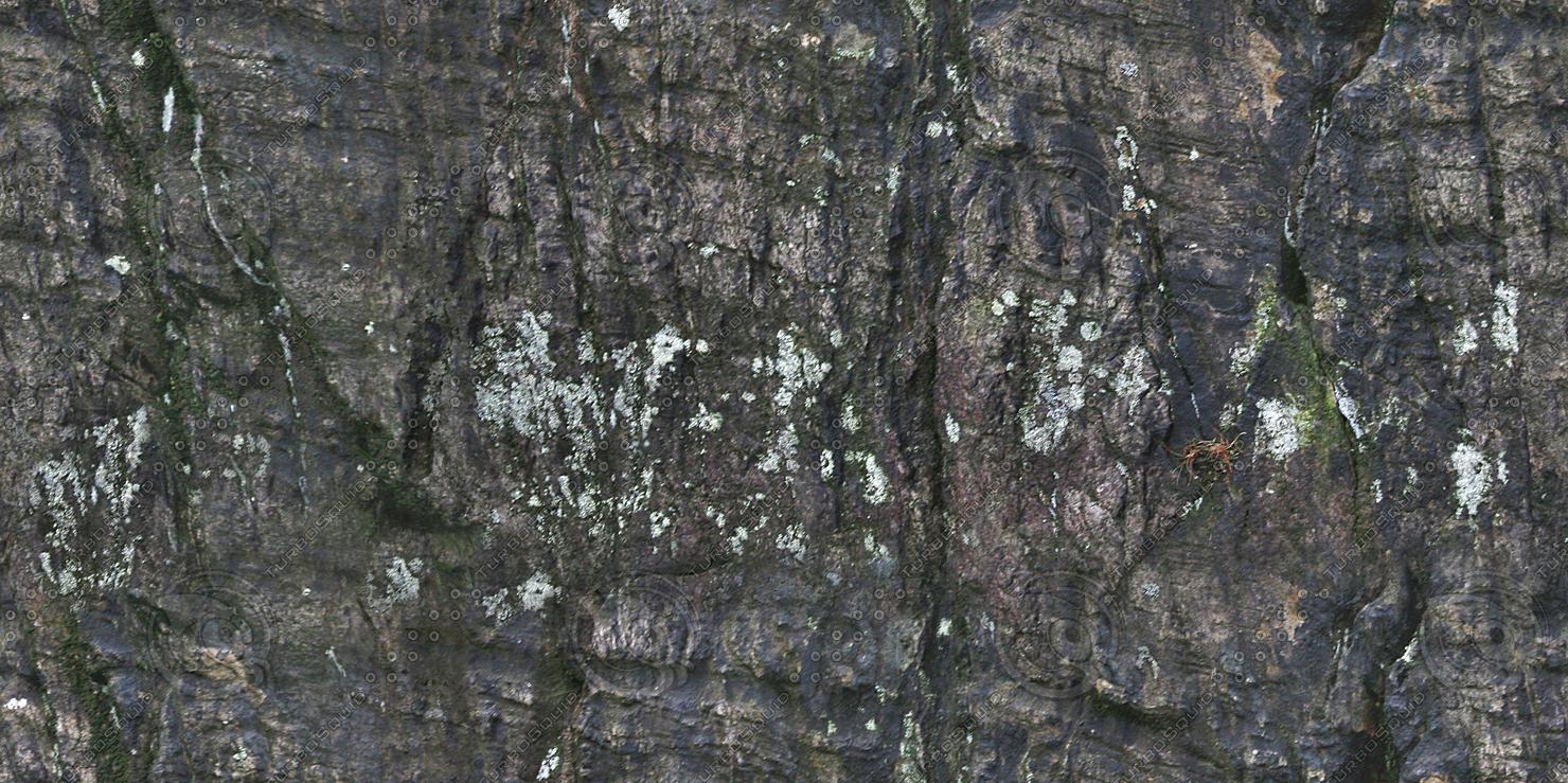 Texture JPEG cliff texture seamless