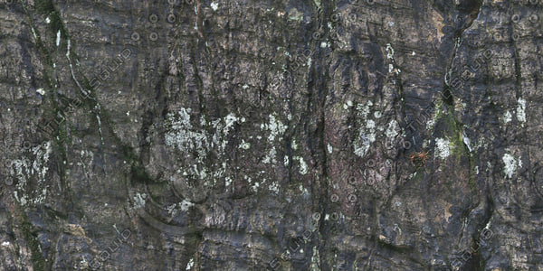 Texture JPEG cliff texture seamless