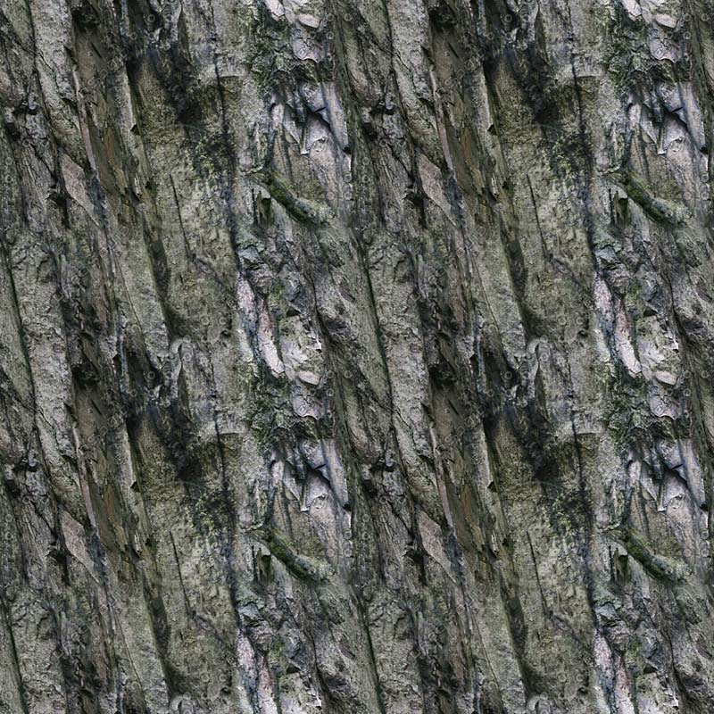 Texture JPEG cliff texture seamless