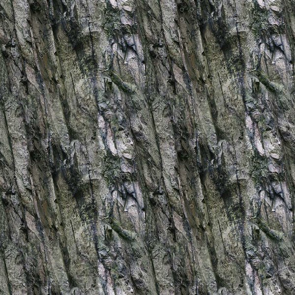 Texture JPEG cliff texture seamless