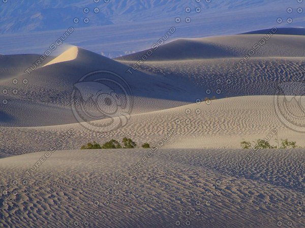 Stock JPEG desert photo dessert