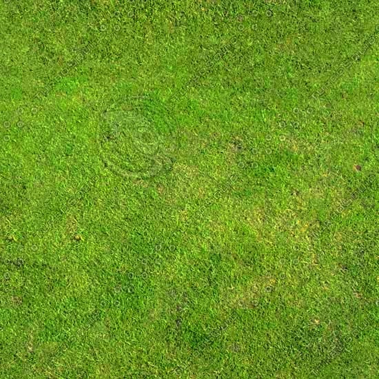 Texture JPEG grass