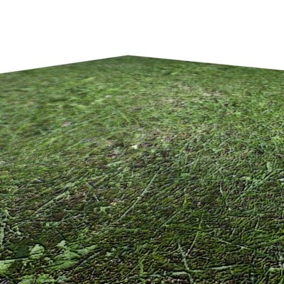 Texture JPEG foliage grass bump