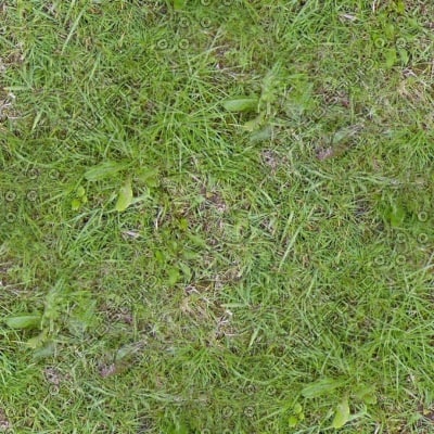 Texture JPEG Ground Grass Earth