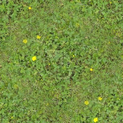 Texture JPEG Ground Grass Earth