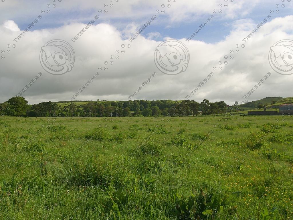 Stock JPEG landscape grass ireland