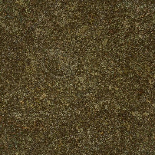 Texture JPEG leaf litter forest
