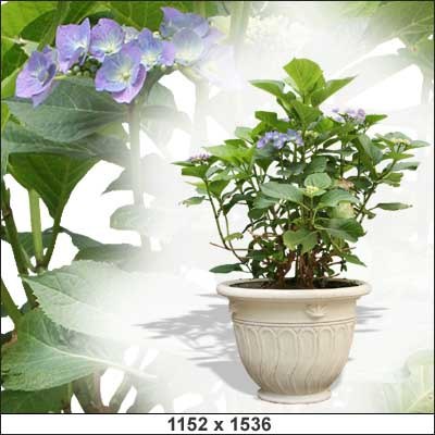 Texture Photoshop patio isolated on