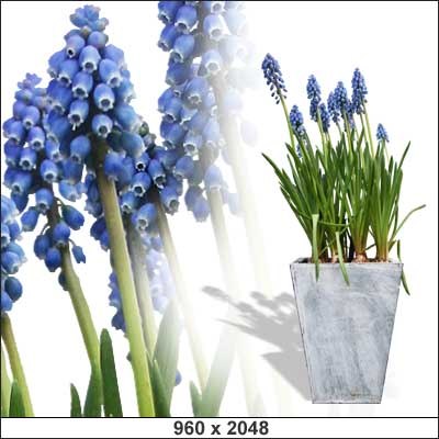 Texture Photoshop patio isolated on