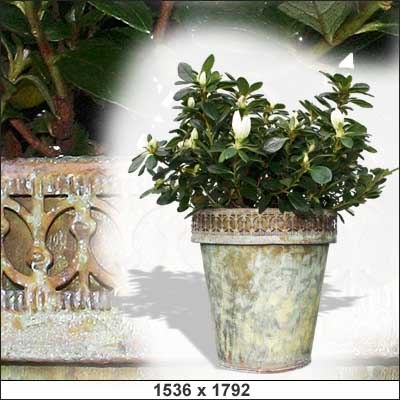 Texture Photoshop patio isolated on