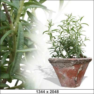 Texture Photoshop patio isolated on