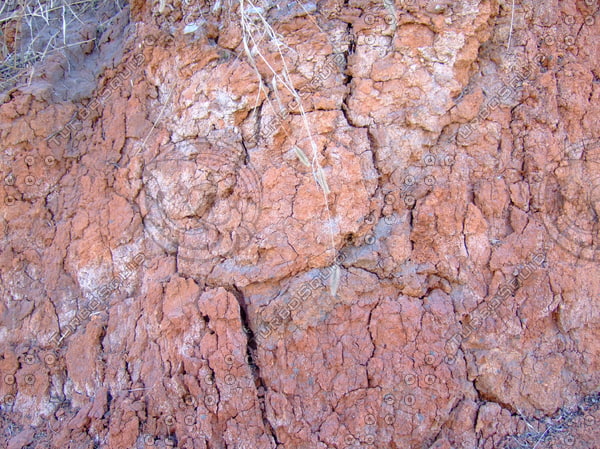 Texture JPEG Red Soil wall