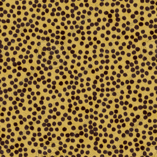Texture JPEG Cheetah Fur Textures
