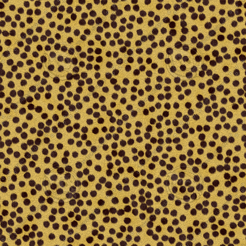 Texture JPEG Cheetah Fur Textures
