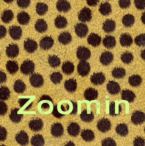 Texture JPEG Cheetah Fur Textures