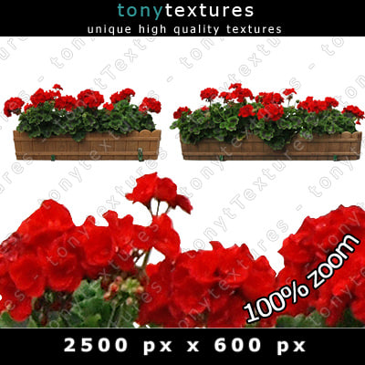 Texture JPEG Flower Pot Potted