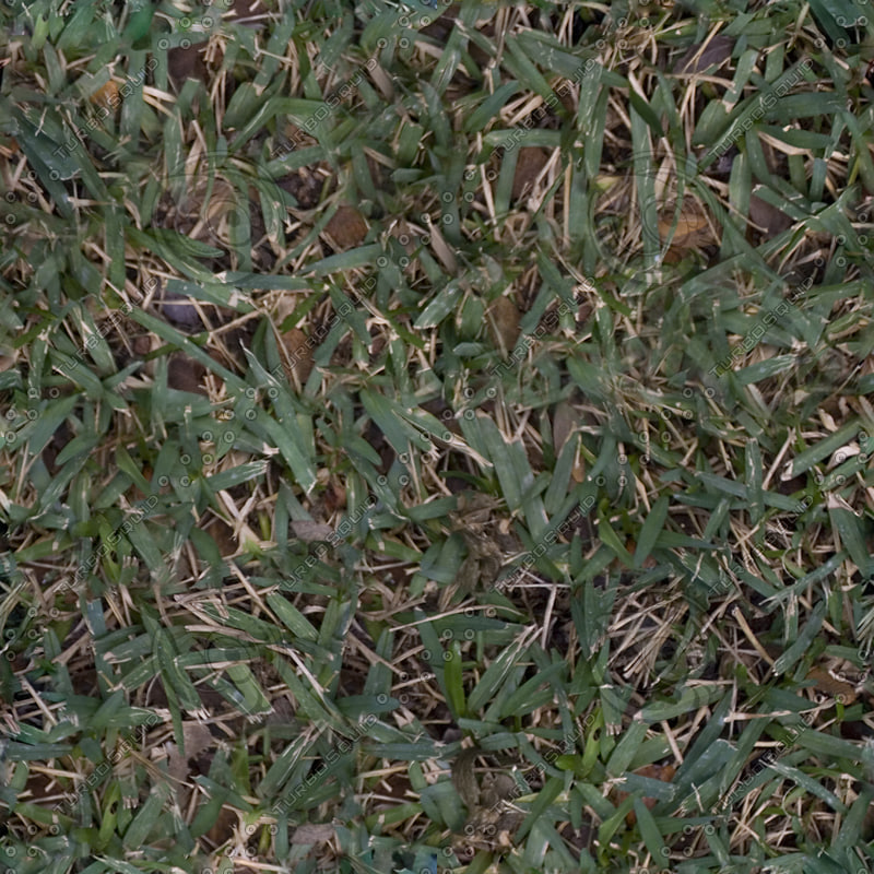 Texture JPEG grass ground landscape