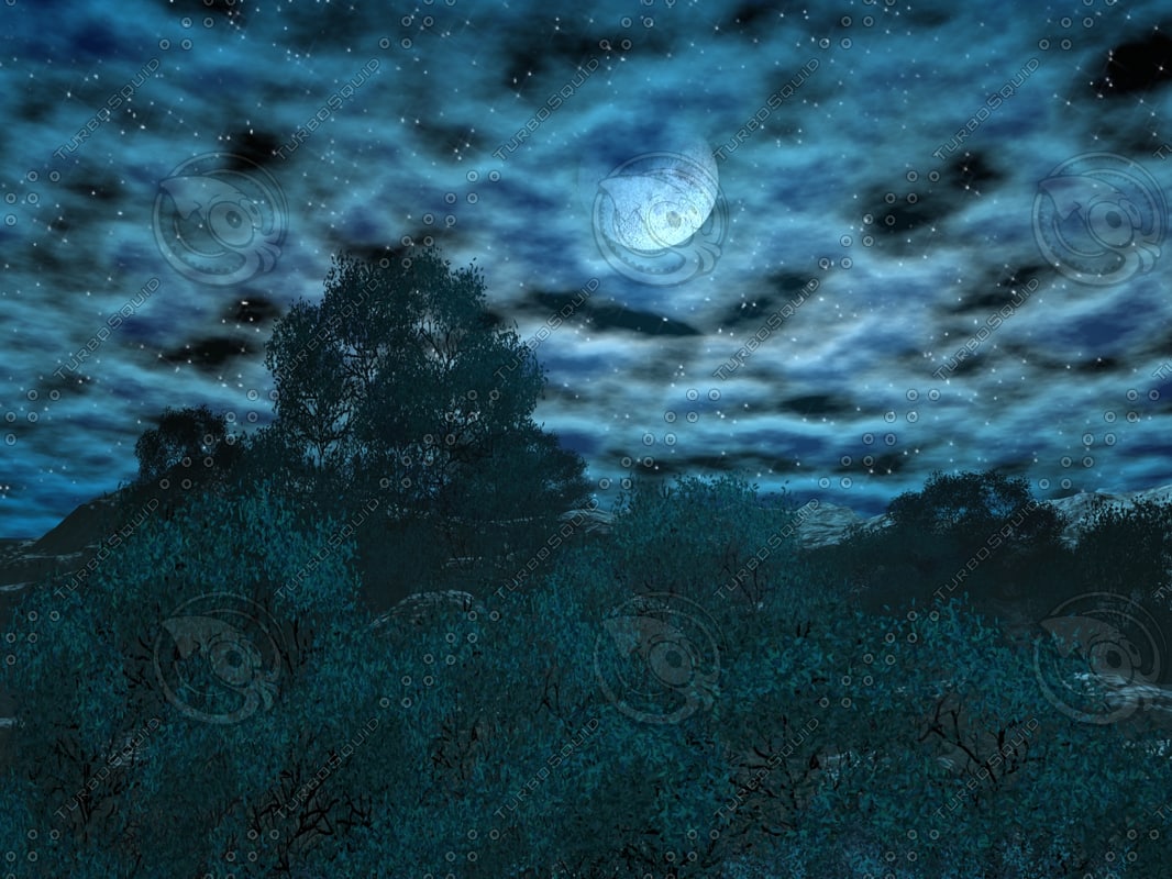 Texture JPEG night sky moon