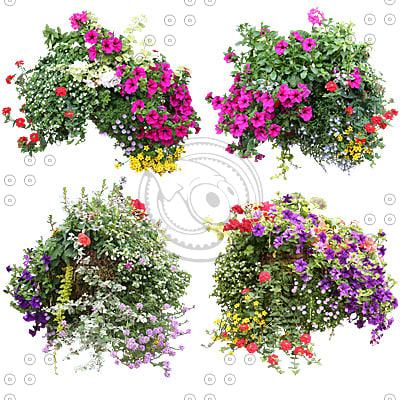 Texture JPEG Plant Planters Planter