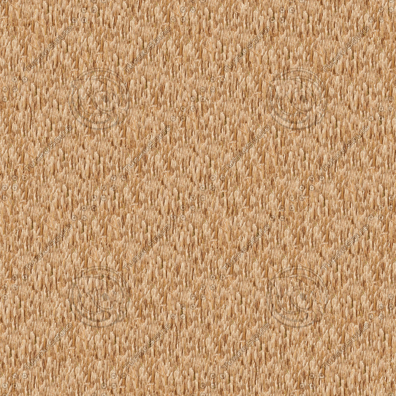 Texture JPEG wheat plant agriculture