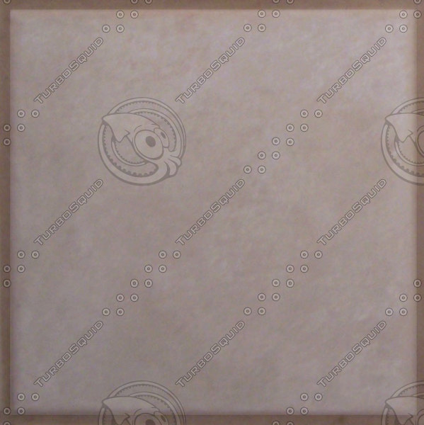Texture JPEG tile floor rose